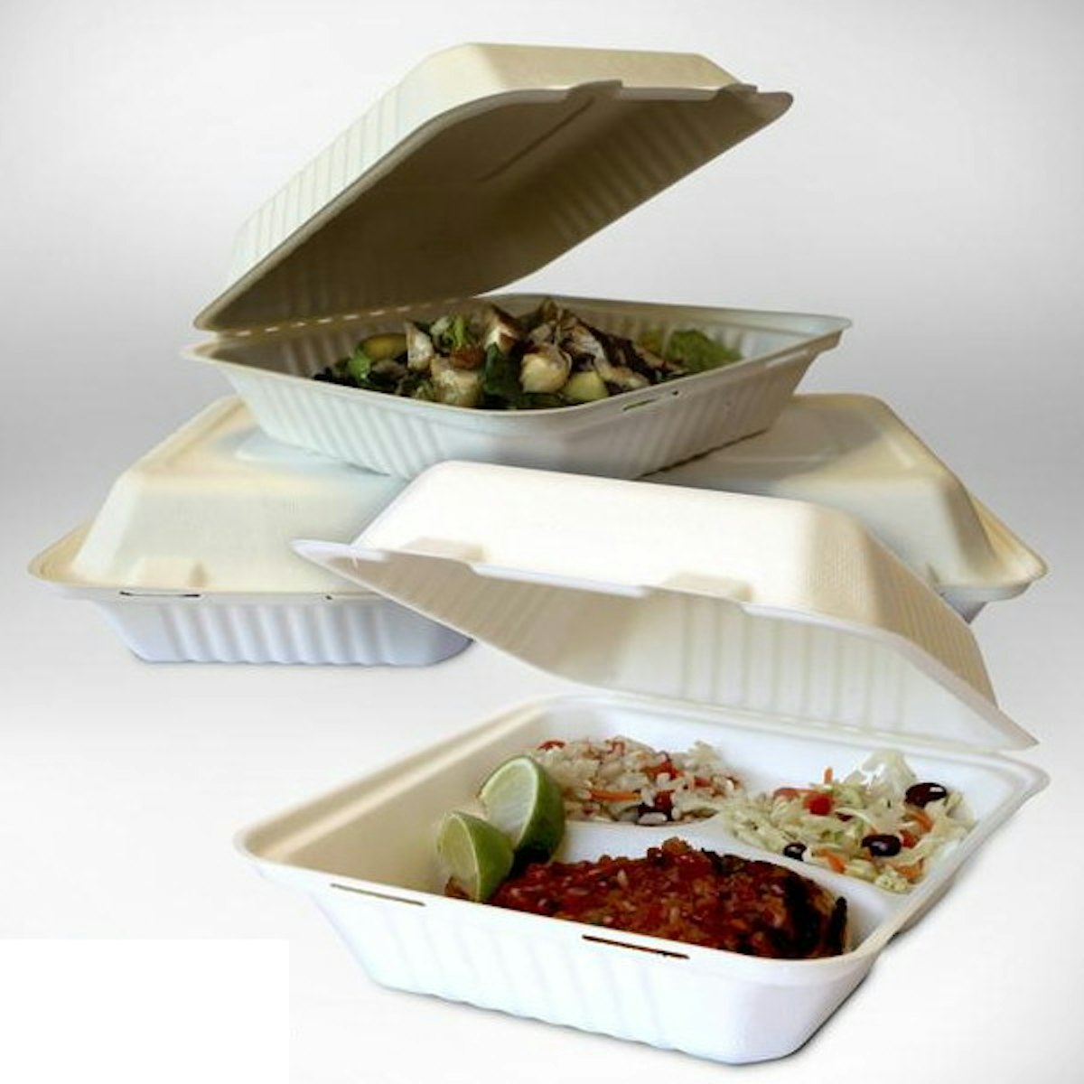 Excellent Packaging & Supply: Biodegradable container for hot, greasy ...