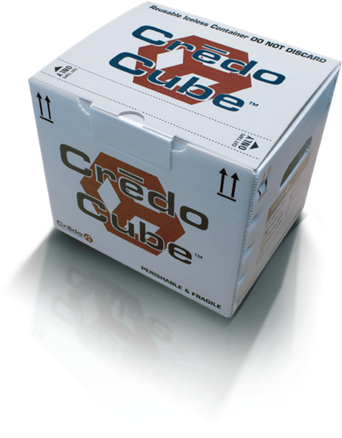 Reuseable shippers gain traction in pharmaceutical logistics ...