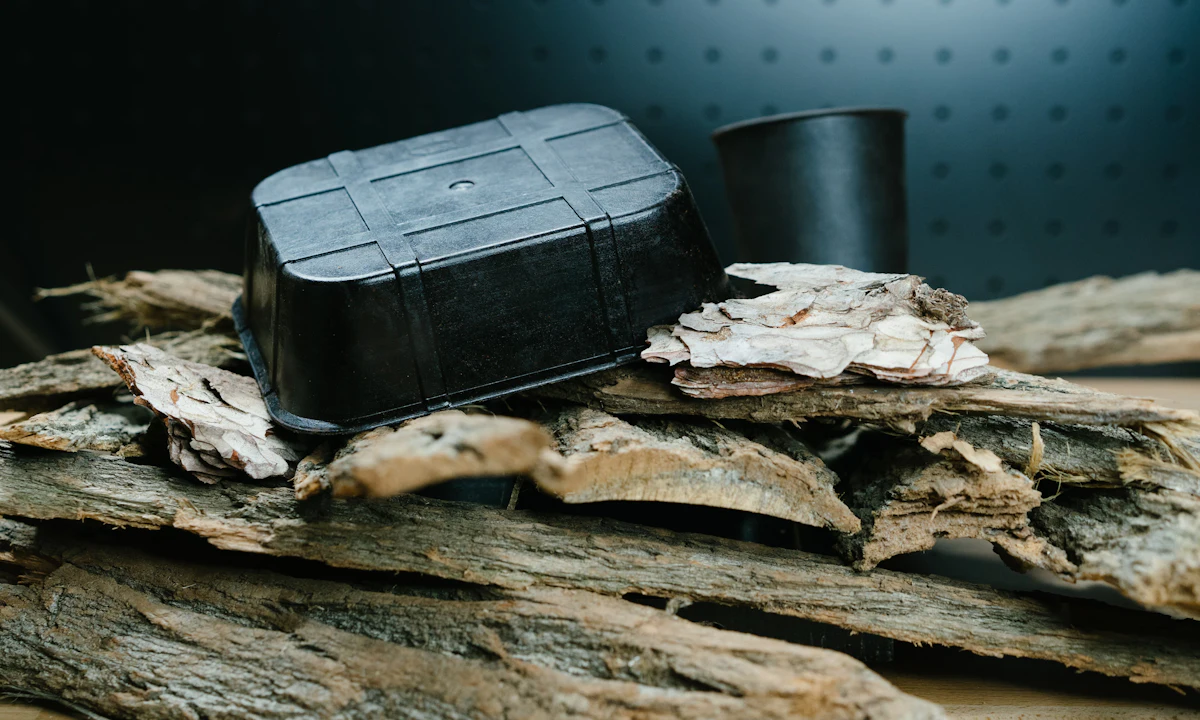 Bark-Based Packaging Technology From: Bpacks | Packaging World