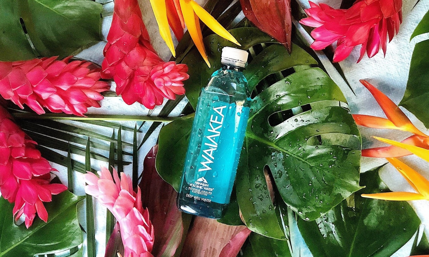 Waiākea Launches First Algae-Derived Ink for Eco-Friendly Labels ...